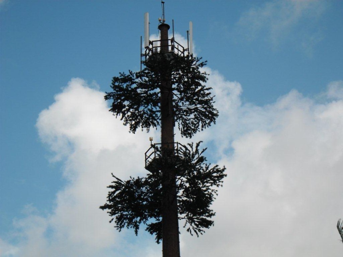 China Bionic Camouflaged Pine Tree Antenna And Microwave Tower ...