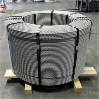 Wholesale Galvanized High Breaking Strength Steel Wire Rope