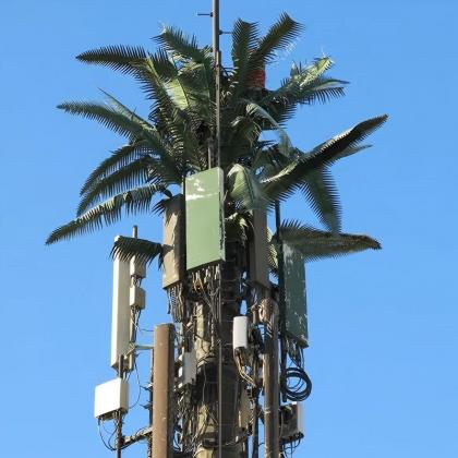 China 15M 20M 25M Bionic Palm Tree Telecom Antenna Monopole Tower ...