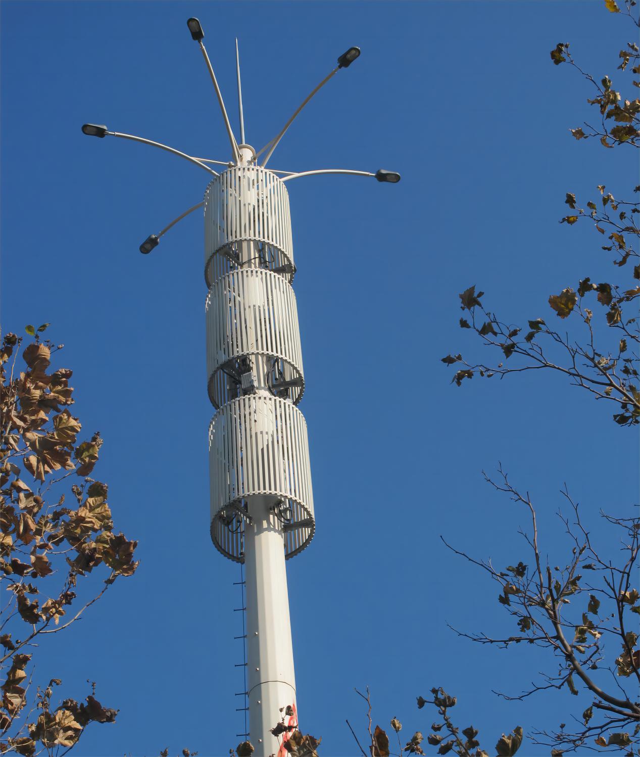 Telecom Lamp Pole Tower In The United Arab Emirates